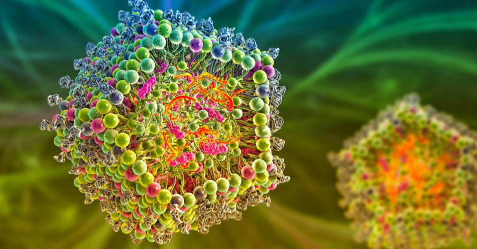 Fitosterole: co to takiego? Właściwości, działnie, najlepsze źródła