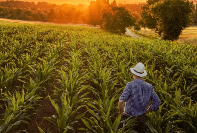 FlexiMed® ACTIVE | Na kości, mięśnie i stawy | Natural Pharmaceuticals